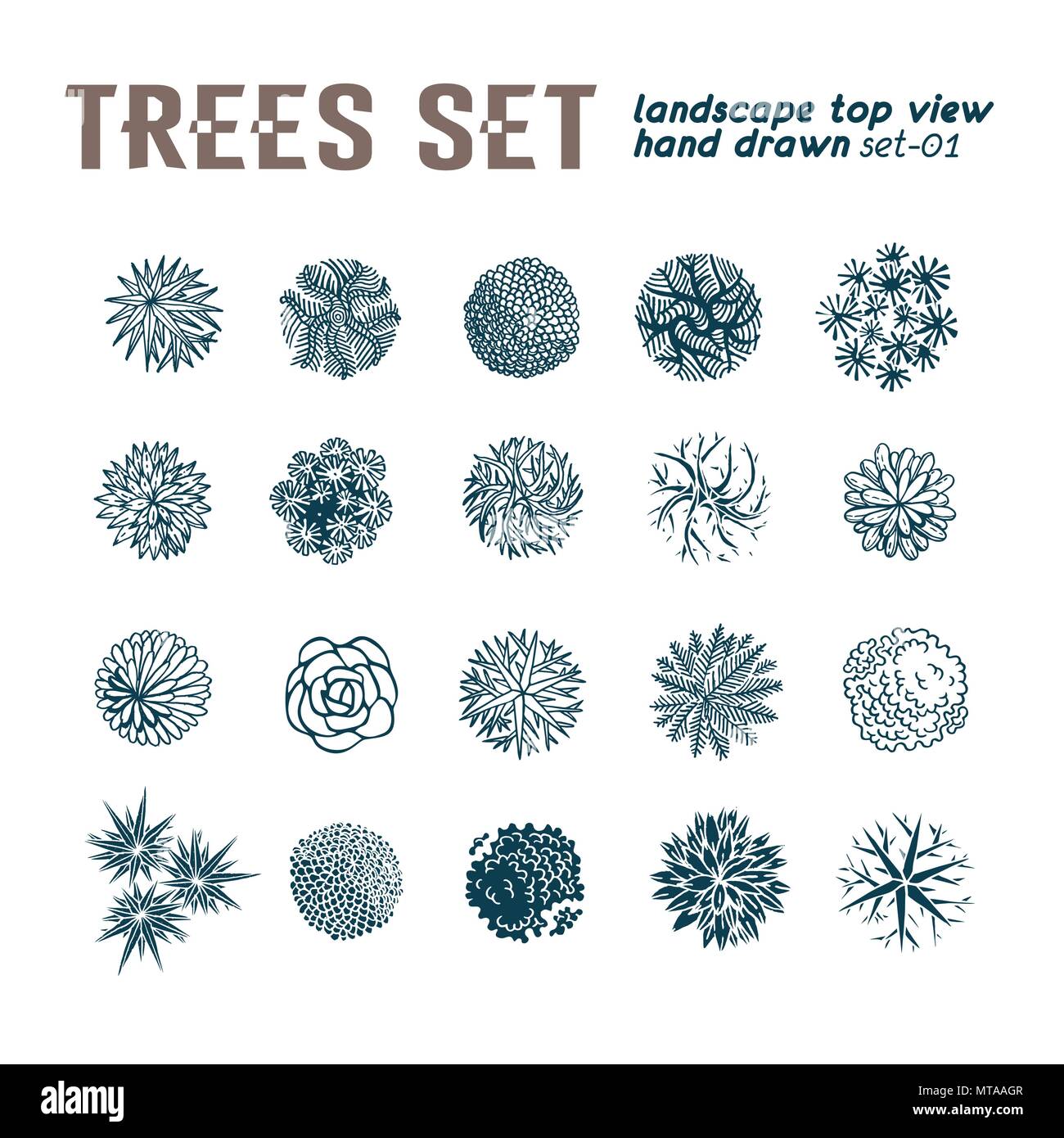Tree Top View Vector