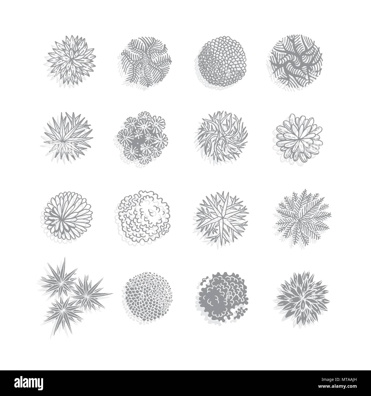 Trees top view. Different plants and trees vector set for architectural ...