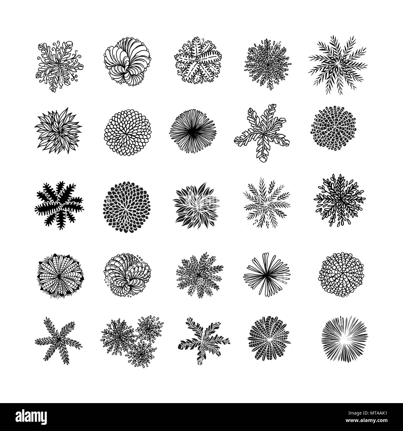 Plant Top View Vector