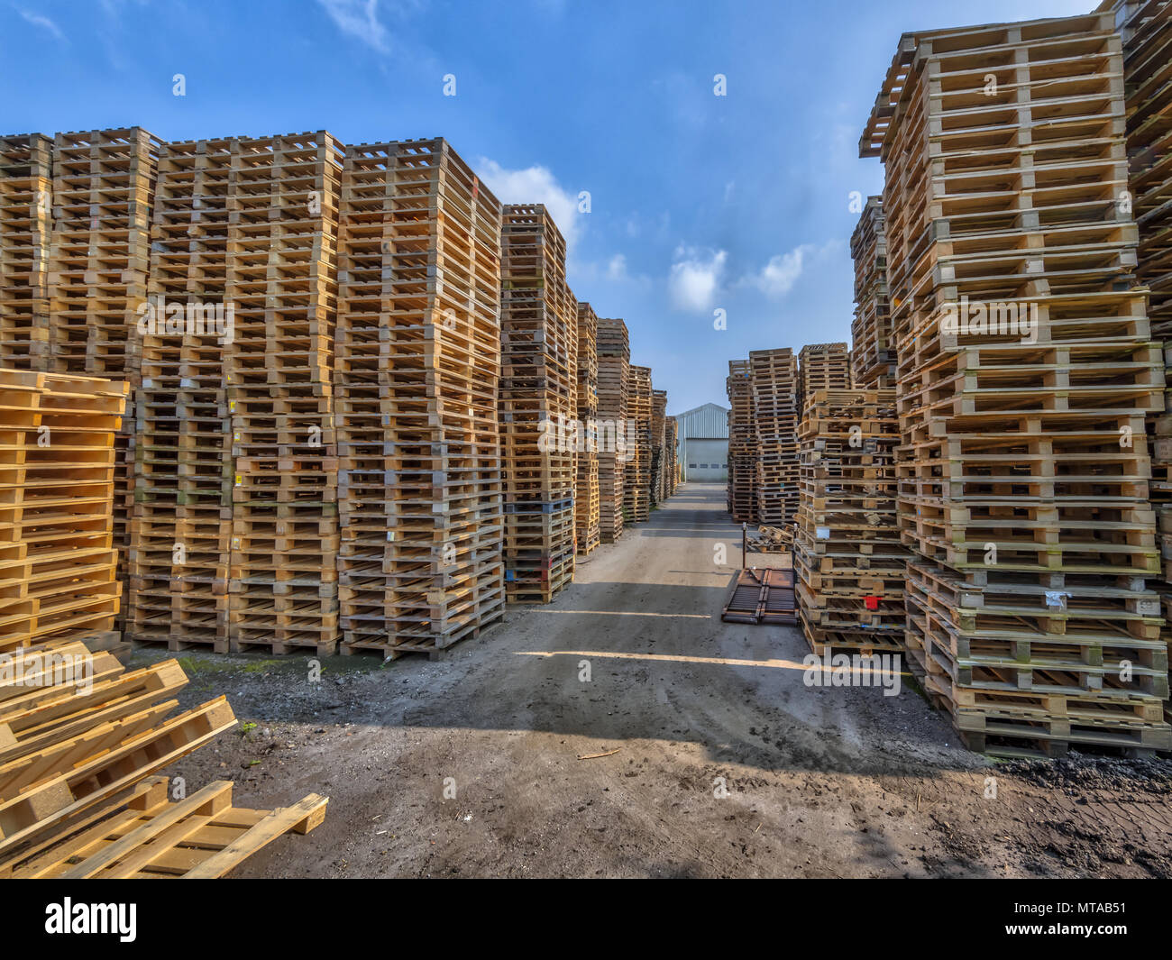 Cargo Business area with huge Piles of euro type cargo pallets ready ...