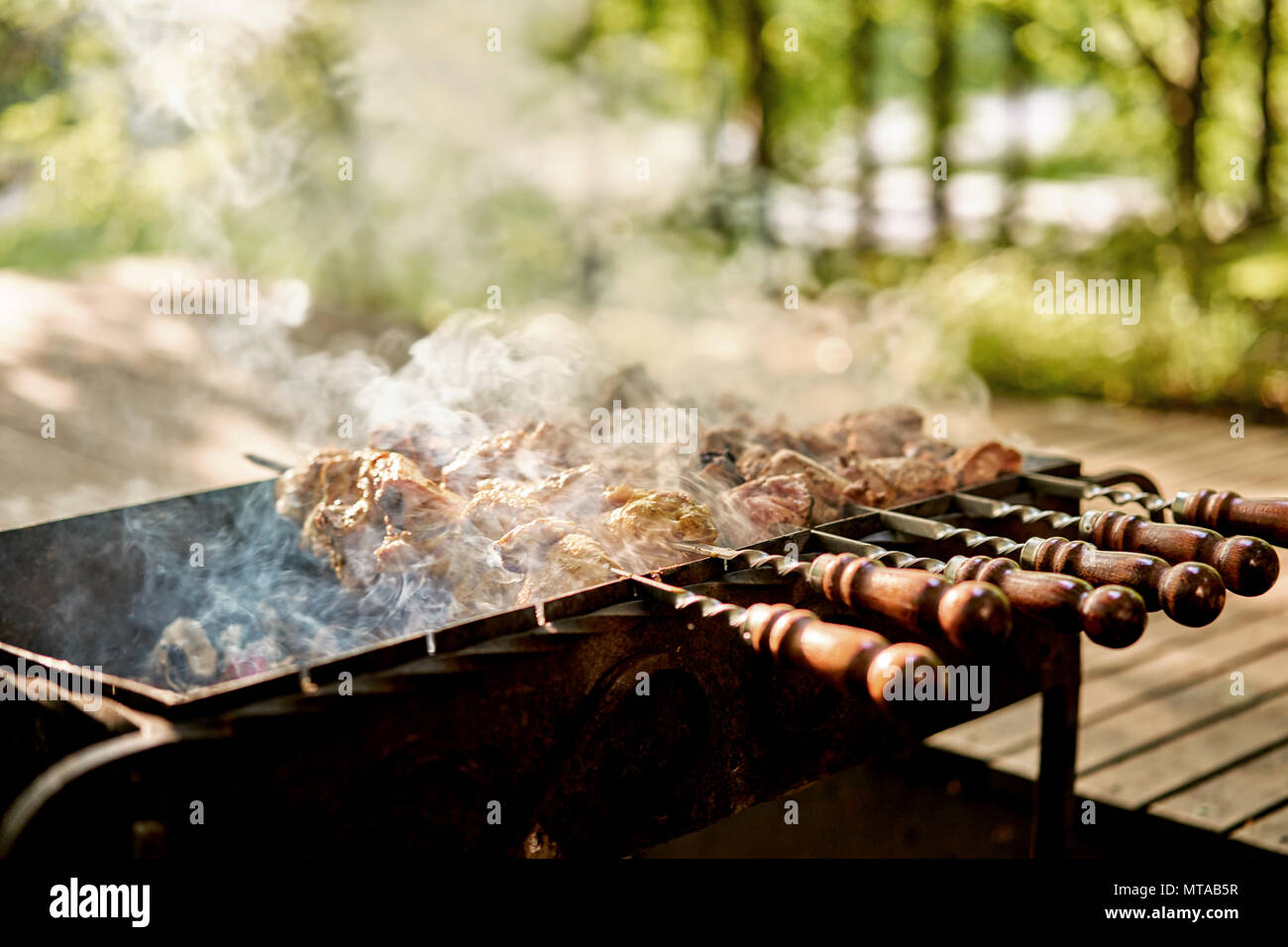 Barbecue in nature hi-res stock photography and images - Alamy