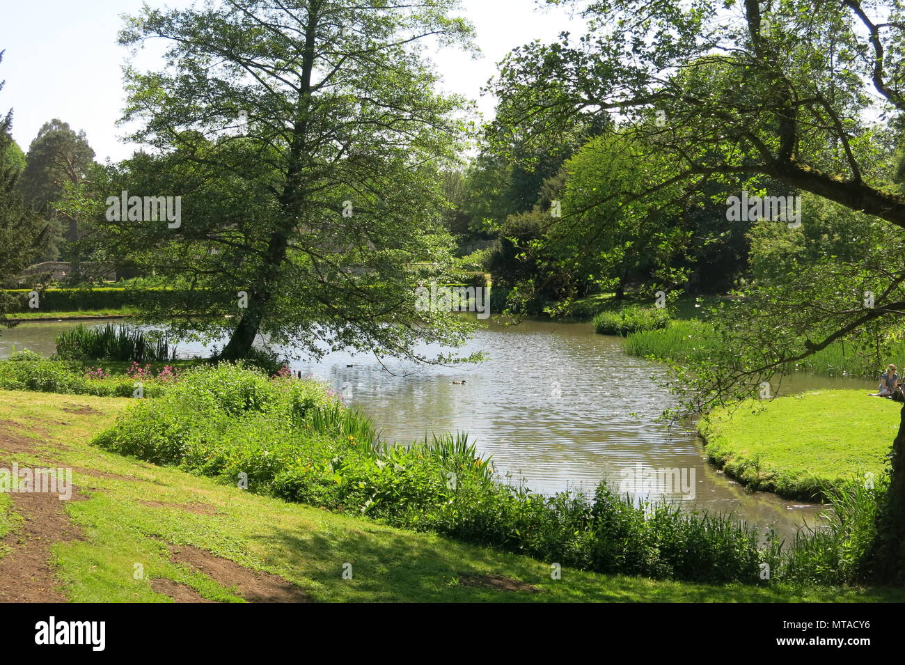 Landscape view of the lake, trees and greenery in the grounds of ...