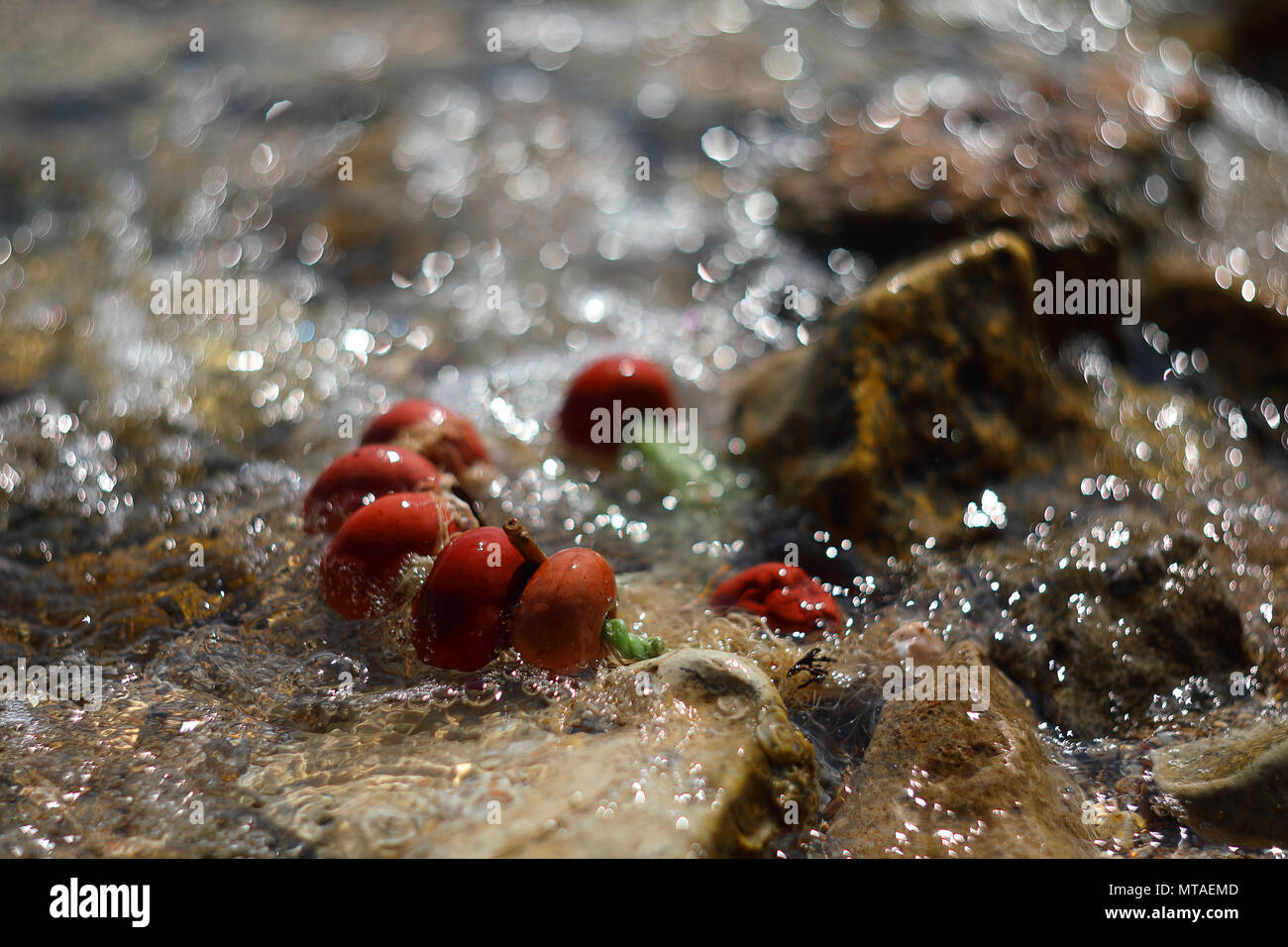 Wave lens hi-res stock photography and images - Alamy