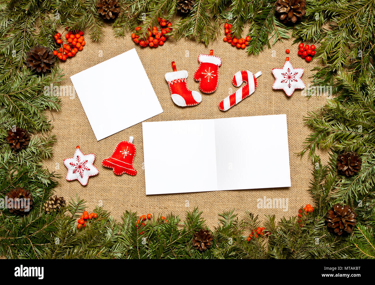 Christmas framework with evergreen fir tree, cones, holly berry and ...