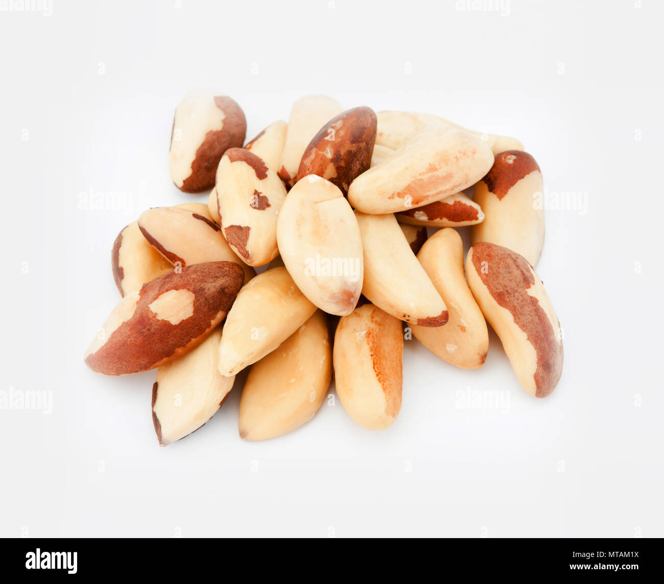 Brazil nuts isolated on white background. Bertholletia excelsa Stock ...