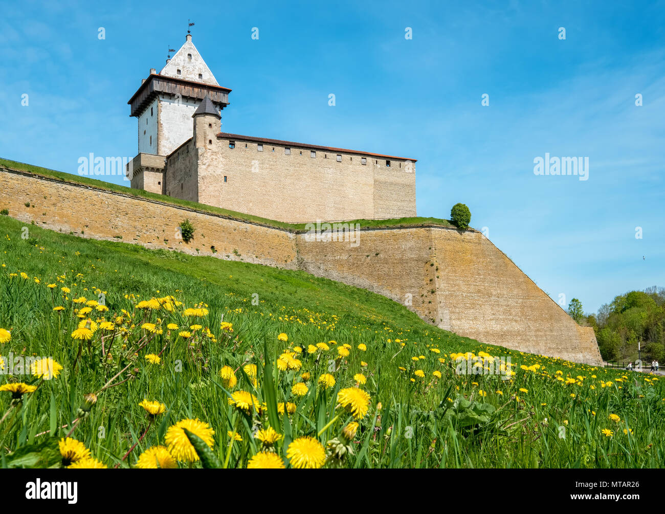 Hermann Castle in medieval fortress. Narva, Estonia, Baltic States ...