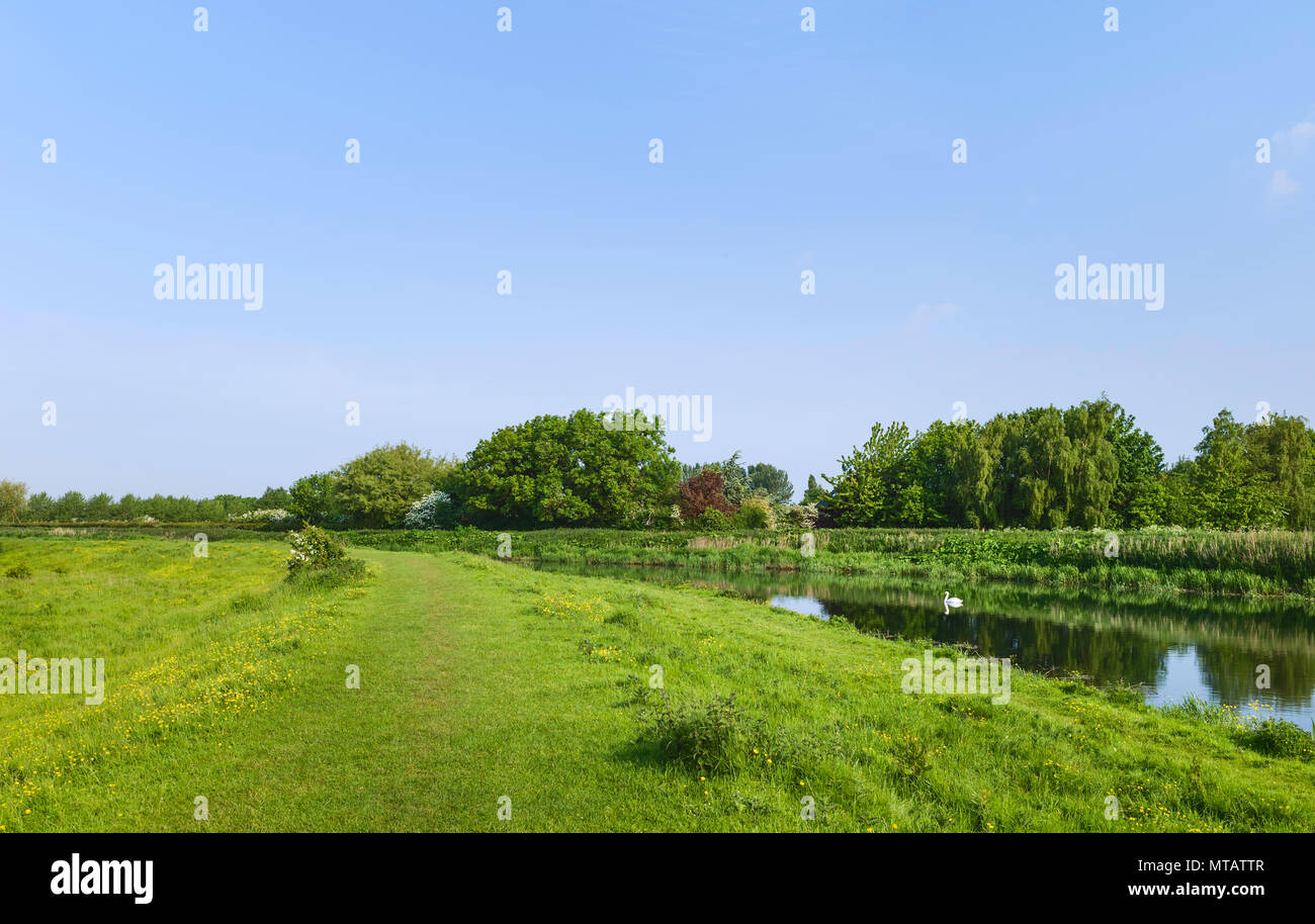 Spring bank hull hi-res stock photography and images - Alamy