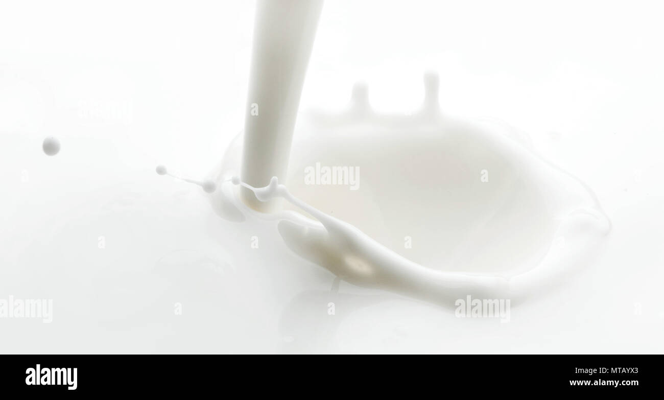 Pouring milk splash isolated on white background Stock Photo - Alamy