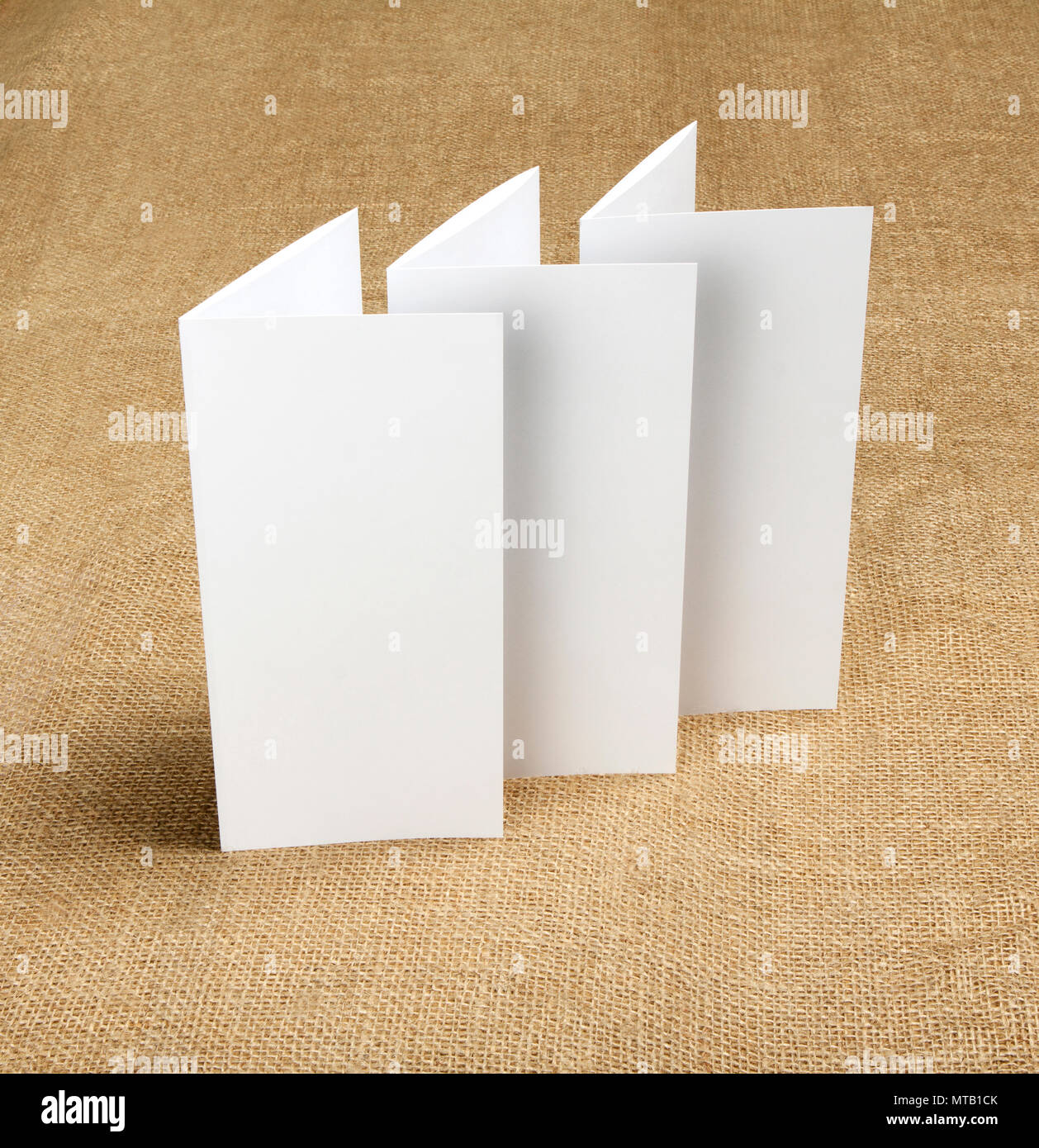 identity design, corporate templates, company style, set of booklets ...