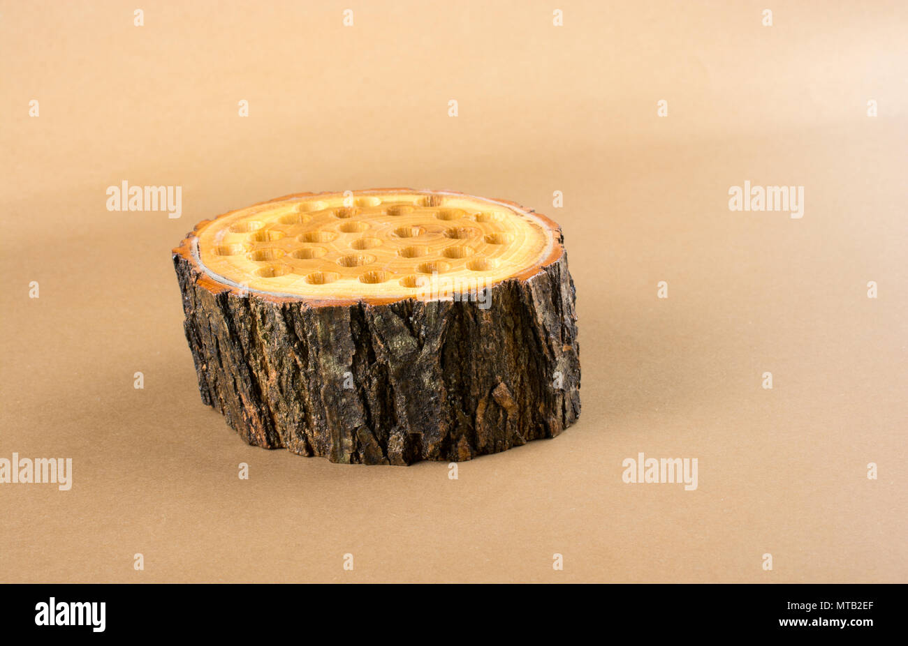 small piece of cut wood log used for wood texture background Stock ...