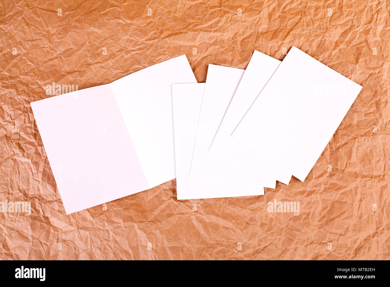 Identity design, corporate templates, company style, blank white ...