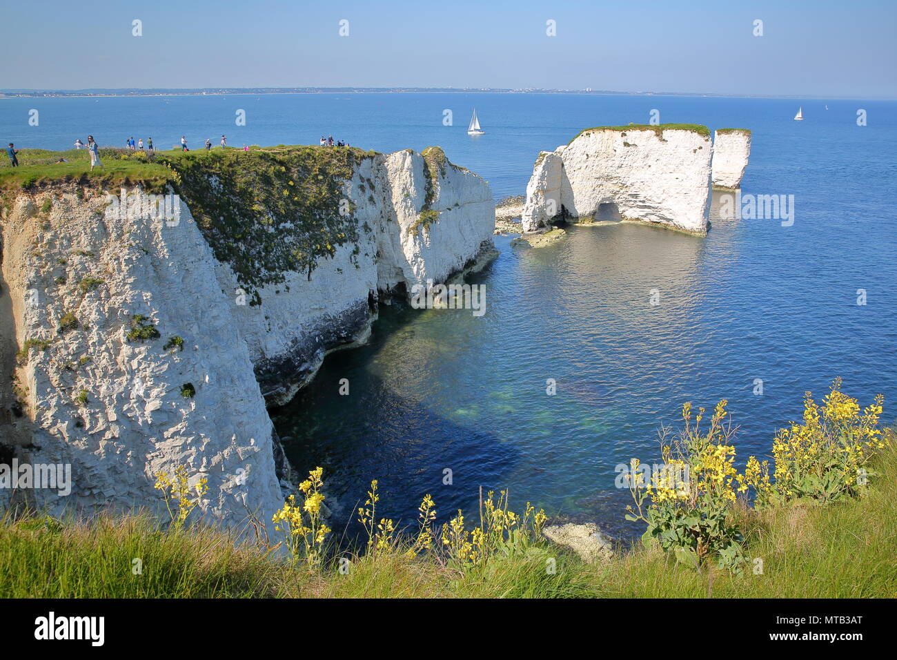 Old Harry Rocks, white cliffs located at Handfast point near Swanage ...