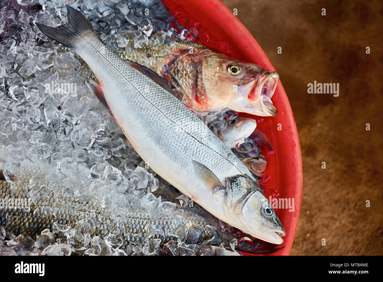 Mullet top hi-res stock photography and images - Alamy