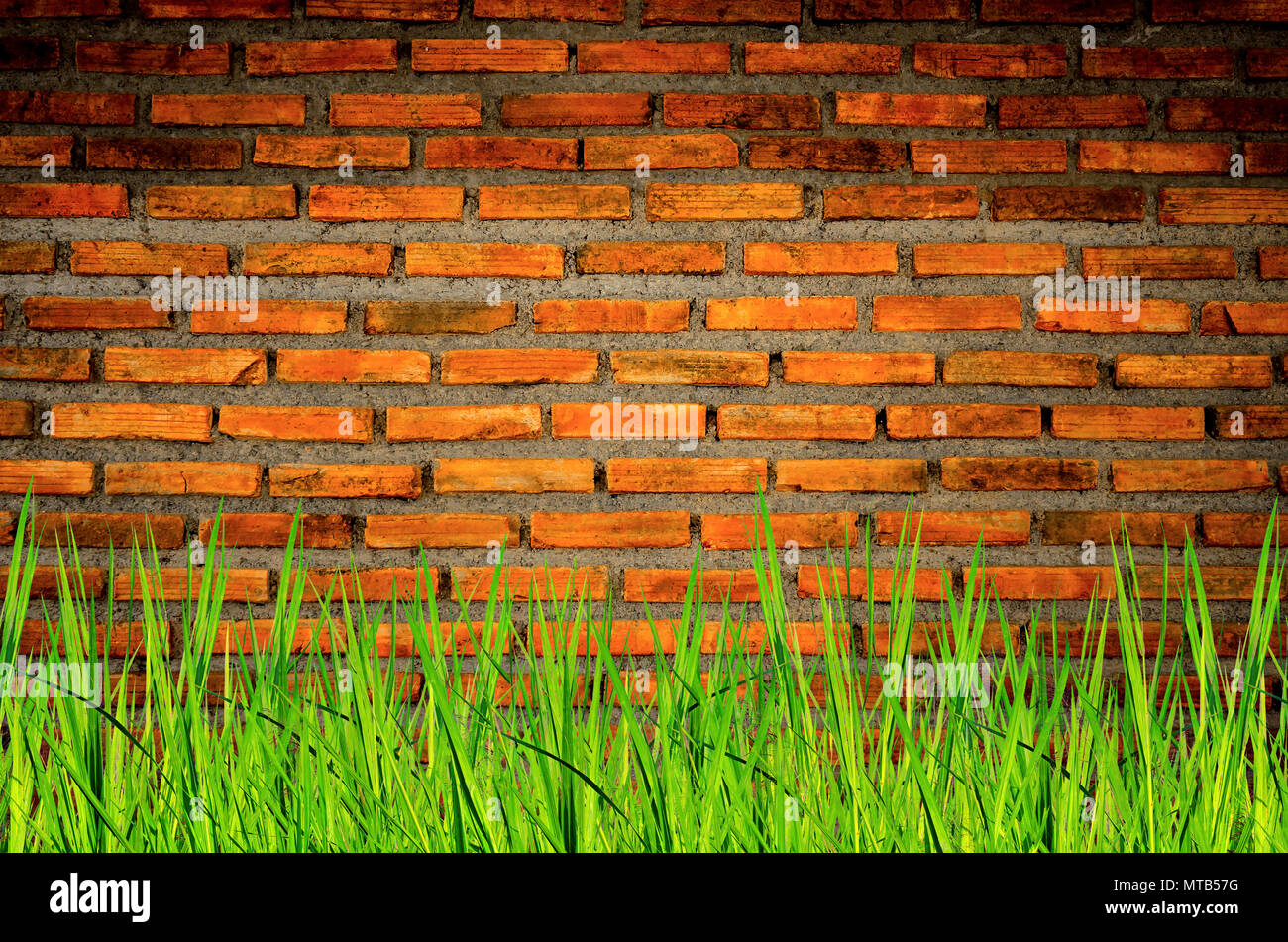 The wall from brick and brick background with grass on below, red brick ...