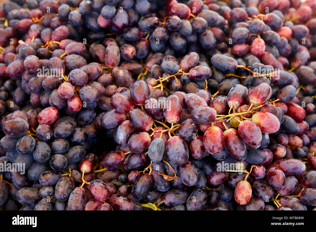 Close up pile of red grape on the market counter Stock Photo - Alamy