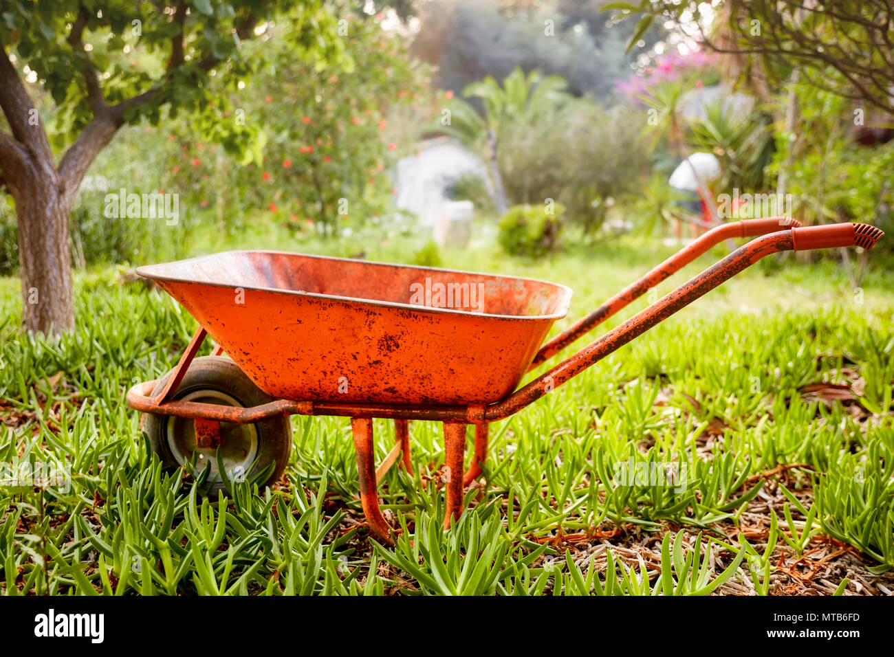 Side view of an orange wheelbarrow in a garden Stock Photo - Alamy