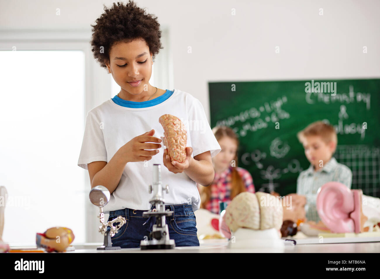 Child model brain hi-res stock photography and images - Alamy