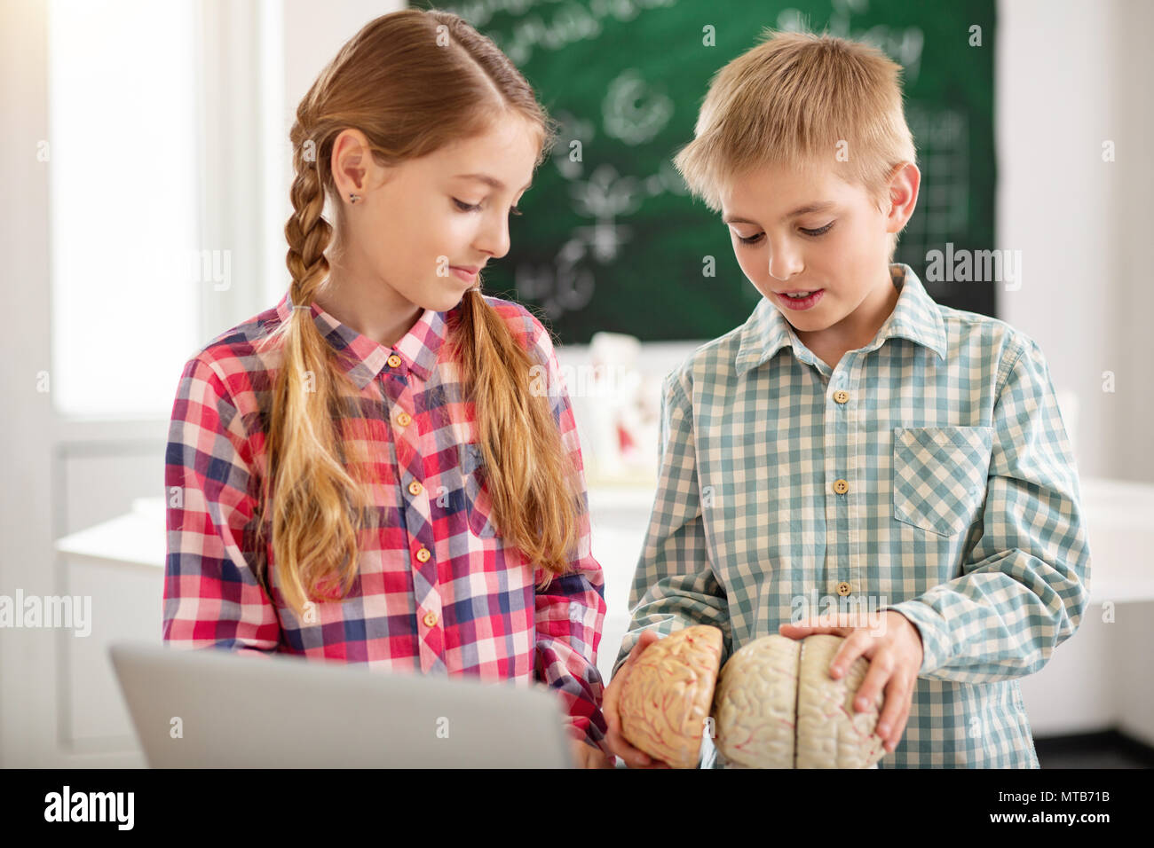 Smart nice kids looking at the human brain Stock Photo - Alamy