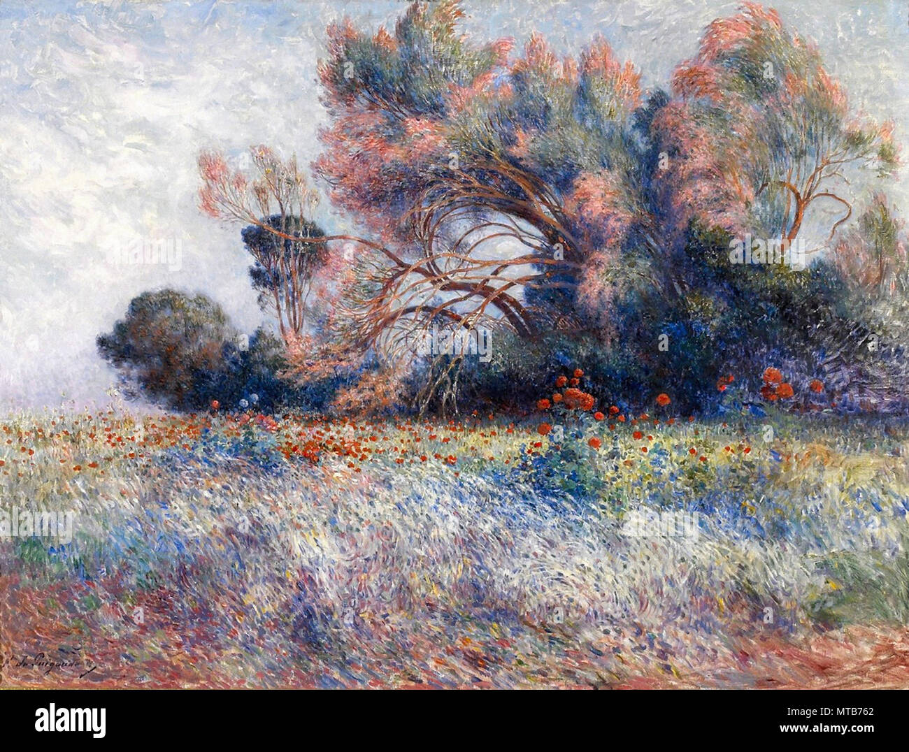 Ferdinand loyen de puigaudeau hi-res stock photography and images - Alamy