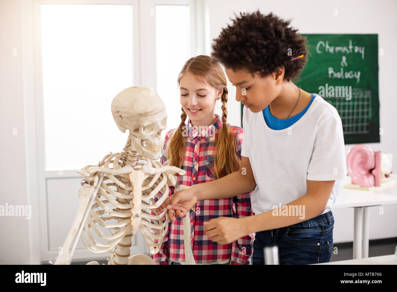 Task team hi-res stock photography and images - Alamy