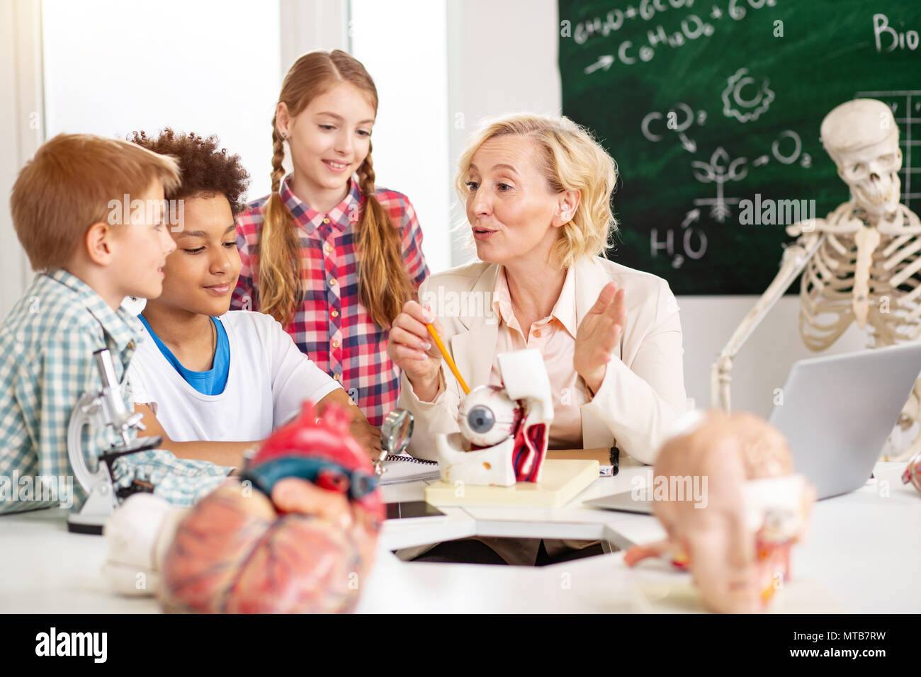 Professional assessment hi-res stock photography and images - Alamy