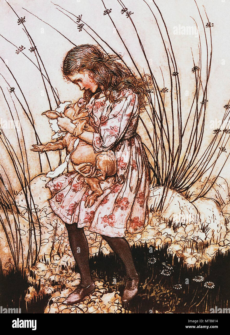 Rackham Arthur - Alice's Adventures in Wonderland 05 Stock Photo - Alamy