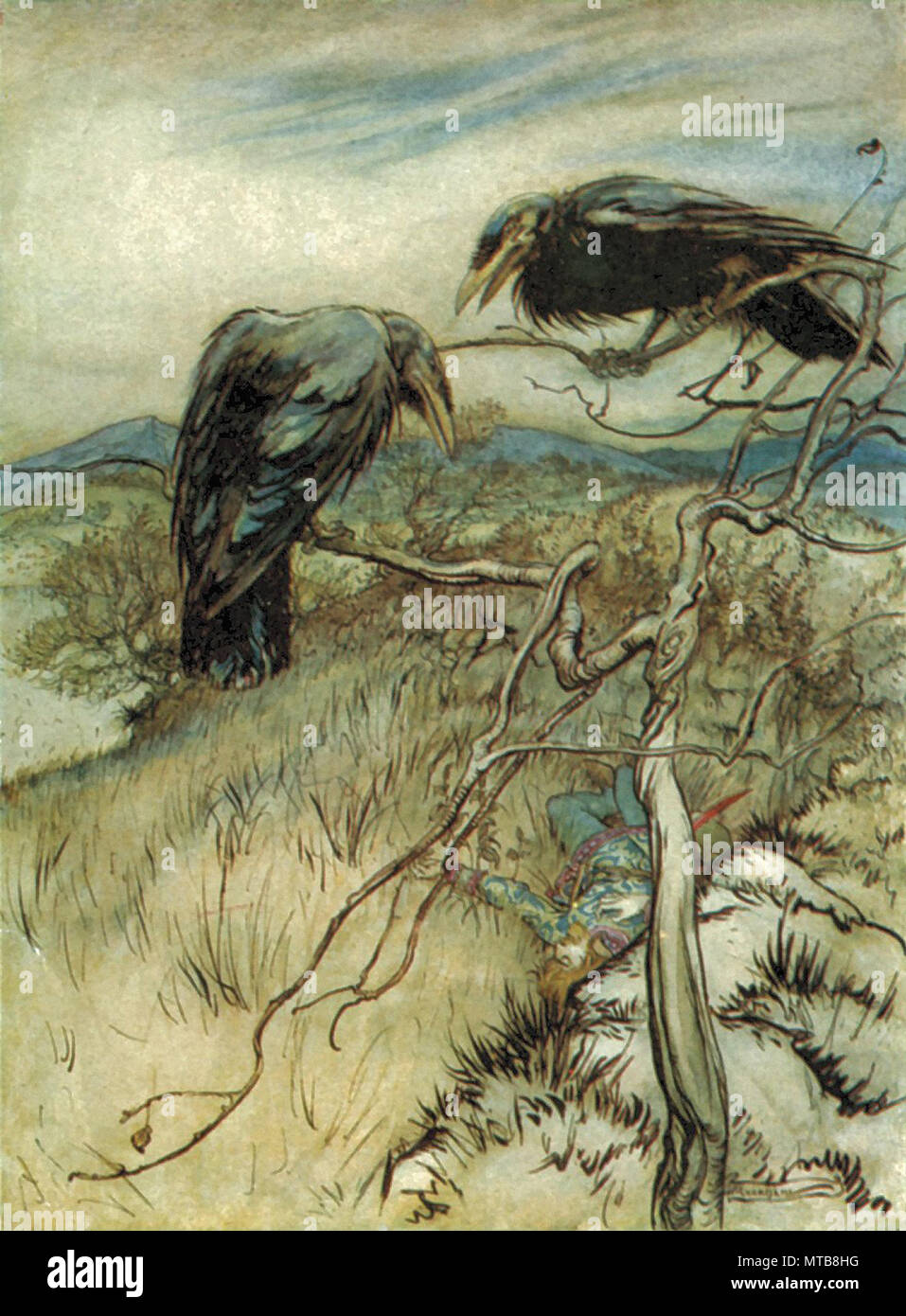 Two ravens hi-res stock photography and images - Alamy