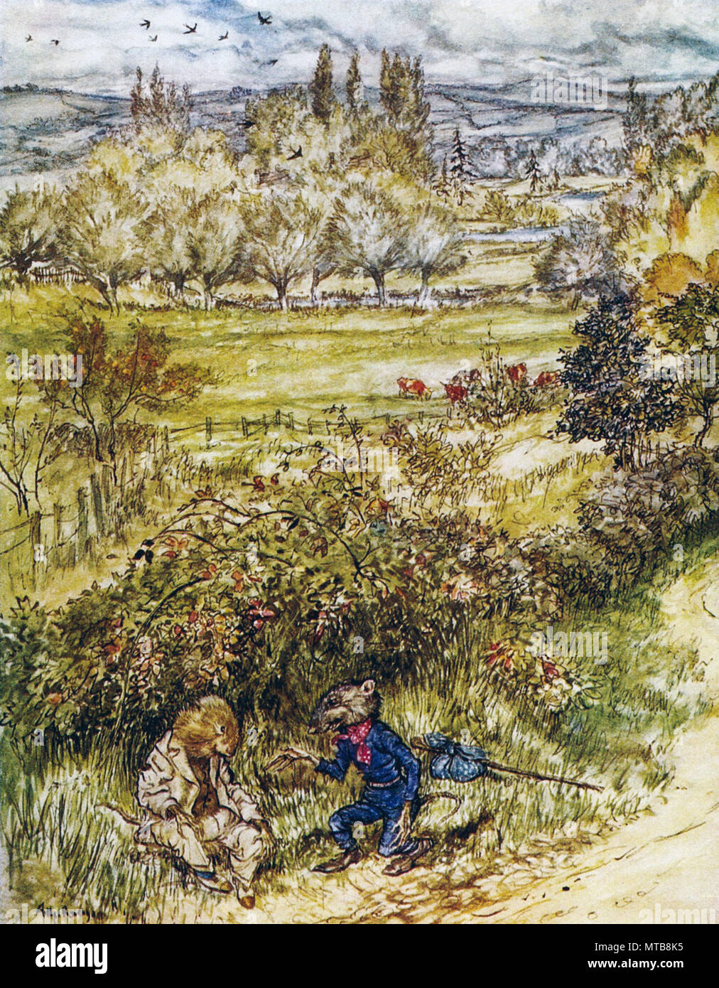 Rackham Arthur - the Wind in the Willows - the Wayfarer Saluted with a ...
