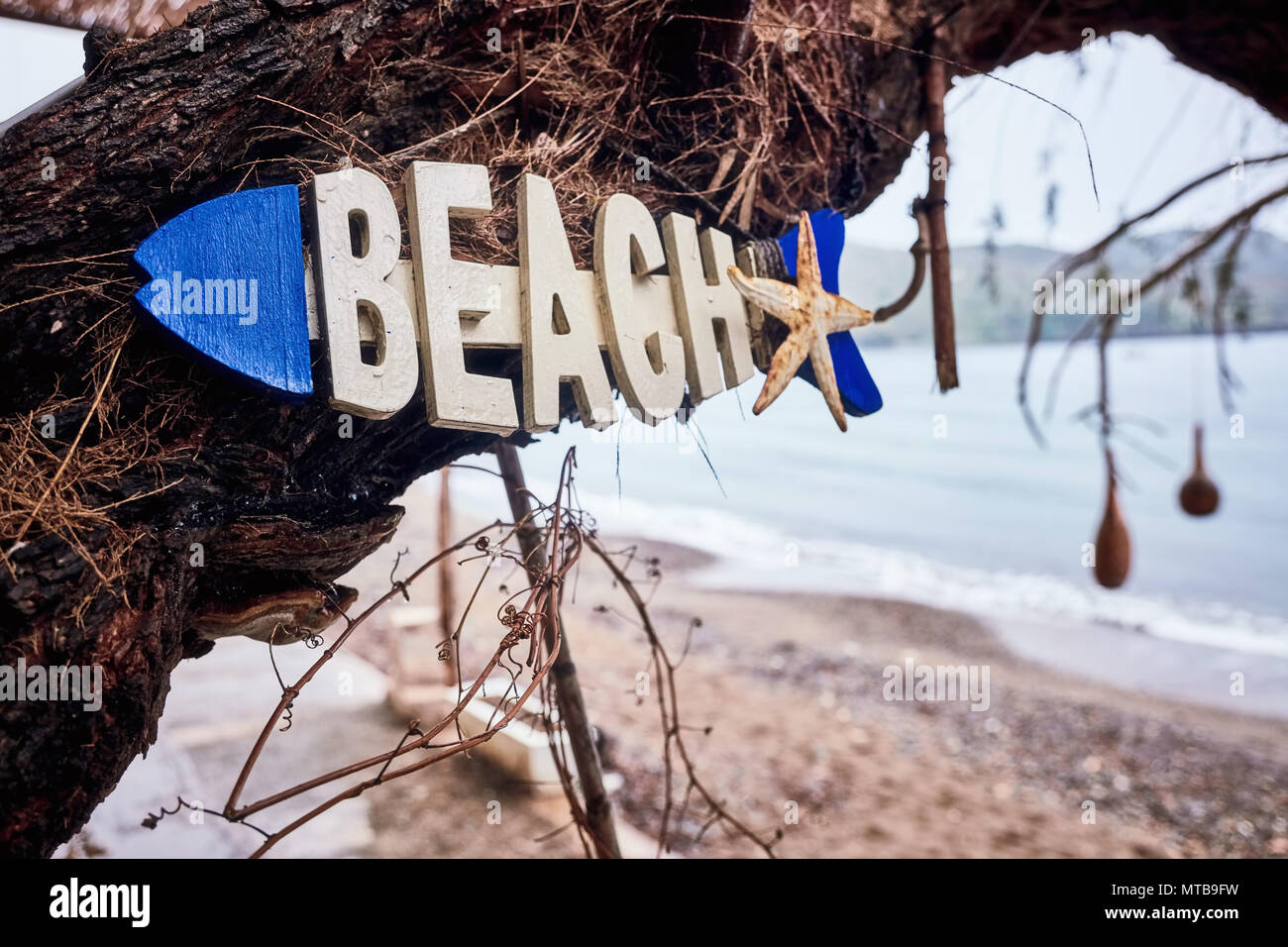 Wooden beach sign designed as a fish nailed to a tree on a cloudy and ...