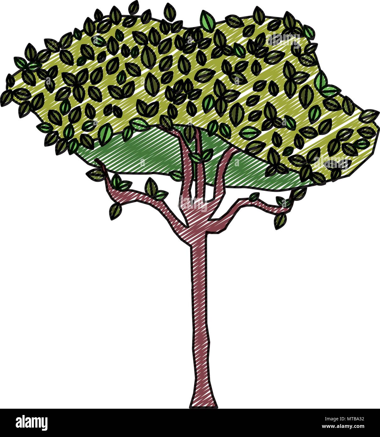 doodle nature tree with exotic stalk botanic Stock Vector Image & Art ...