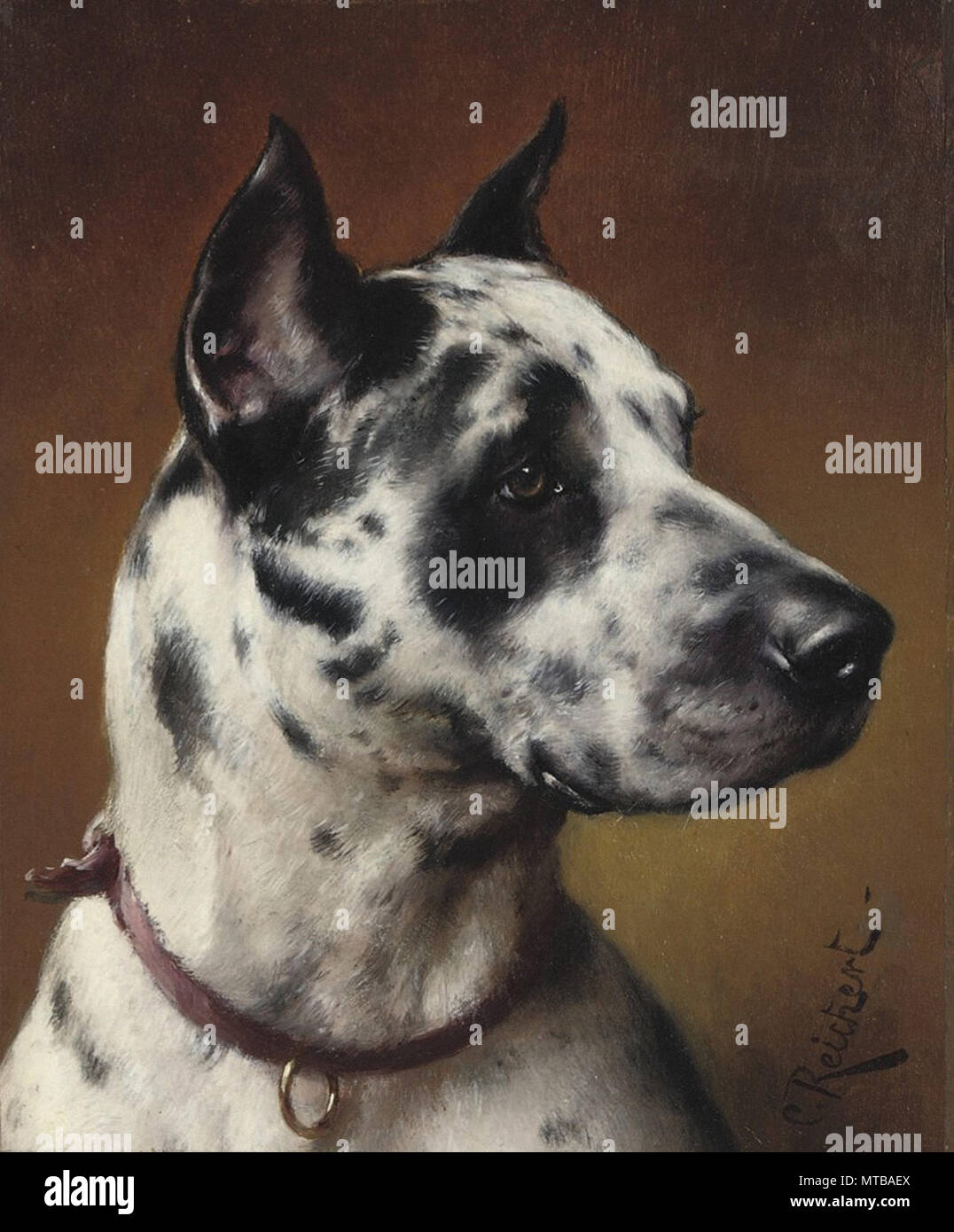 Carl the great hi-res stock photography and images - Alamy