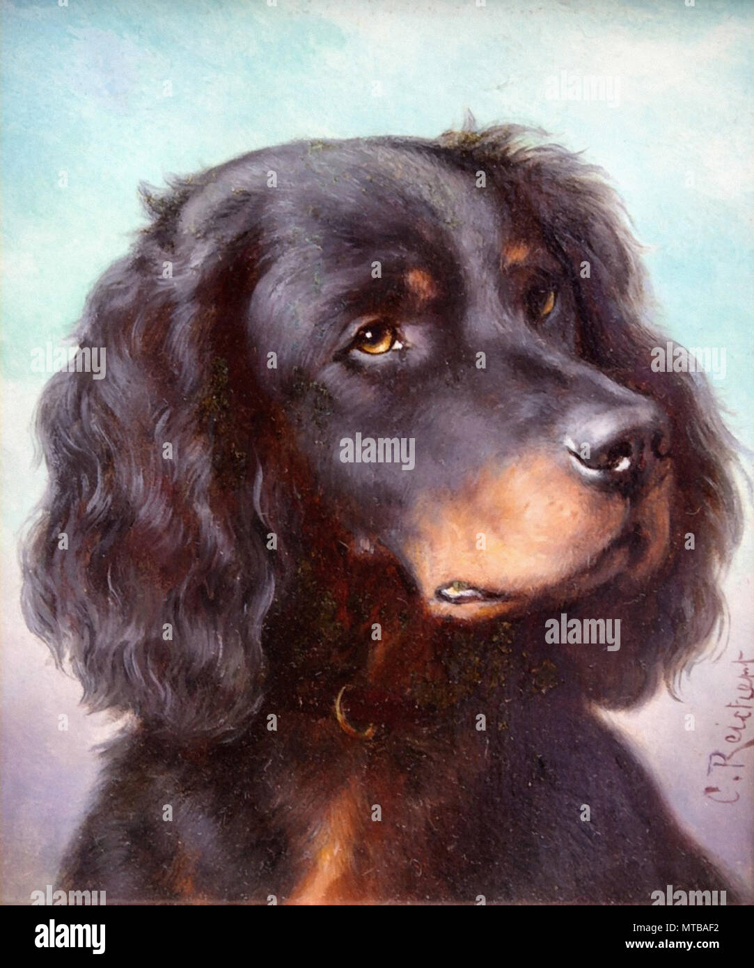 Noble companion hi-res stock photography and images - Alamy