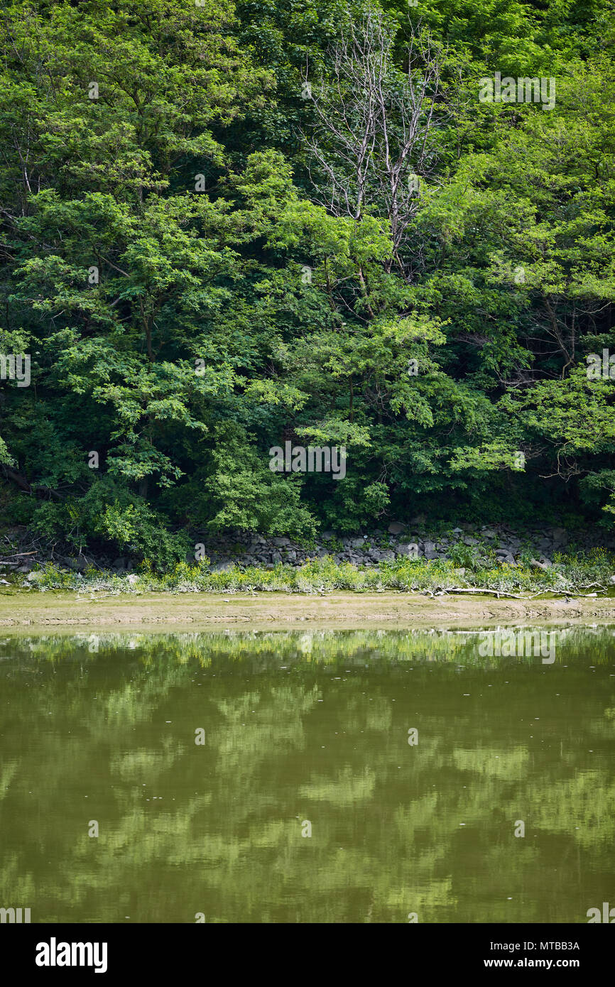 Landscape with Olt river in Romania surrounded by forest and mountains ...