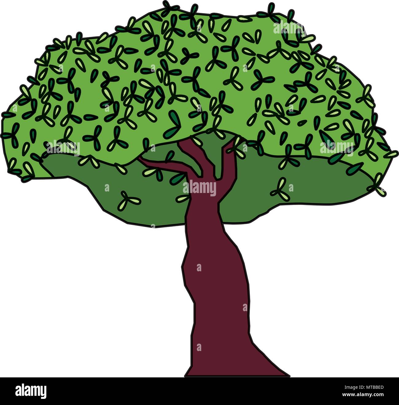 color tropical tree natural stalk botanic Stock Vector Image & Art - Alamy