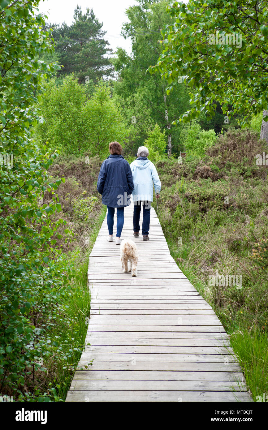 Two people hi-res stock photography and images - Alamy