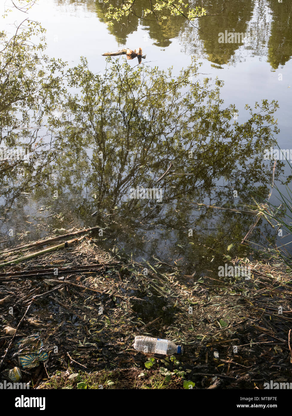 Plastic bottle litter in water Stock Photo - Alamy