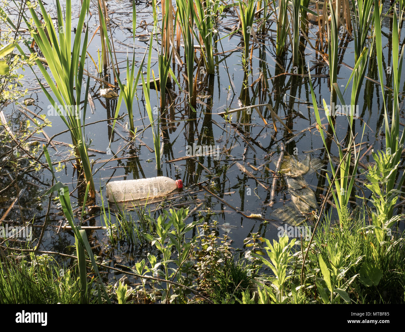 Plastic bottle litter in water Stock Photo - Alamy