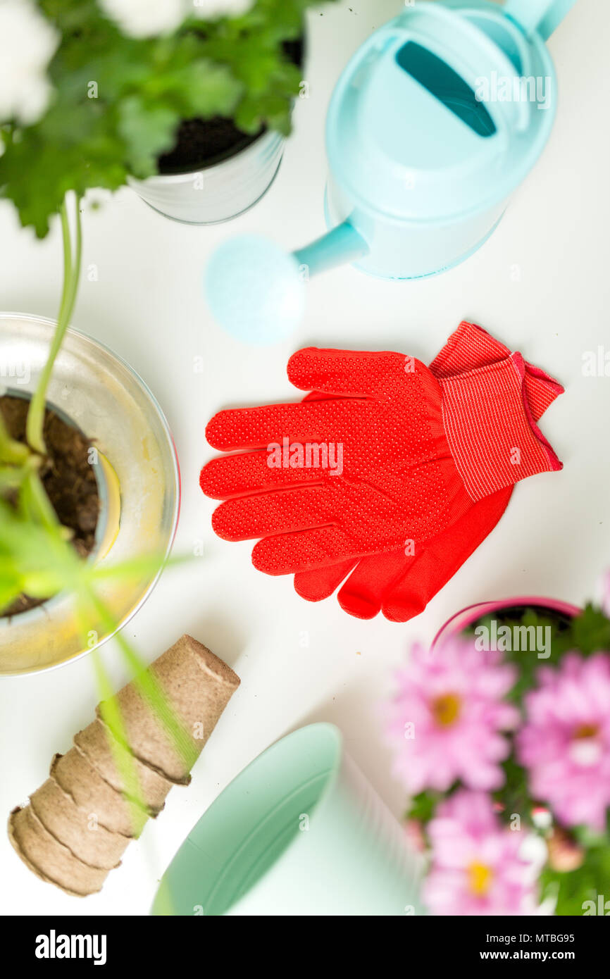 Photo of red rubber gloves, flowers in pots, watering cans Stock Photo ...
