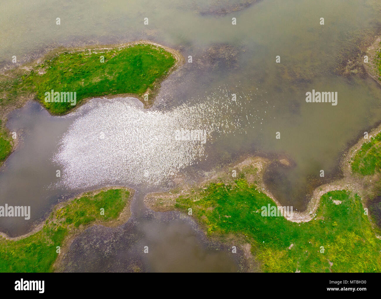 aerial view of swamp and lake Stock Photo - Alamy