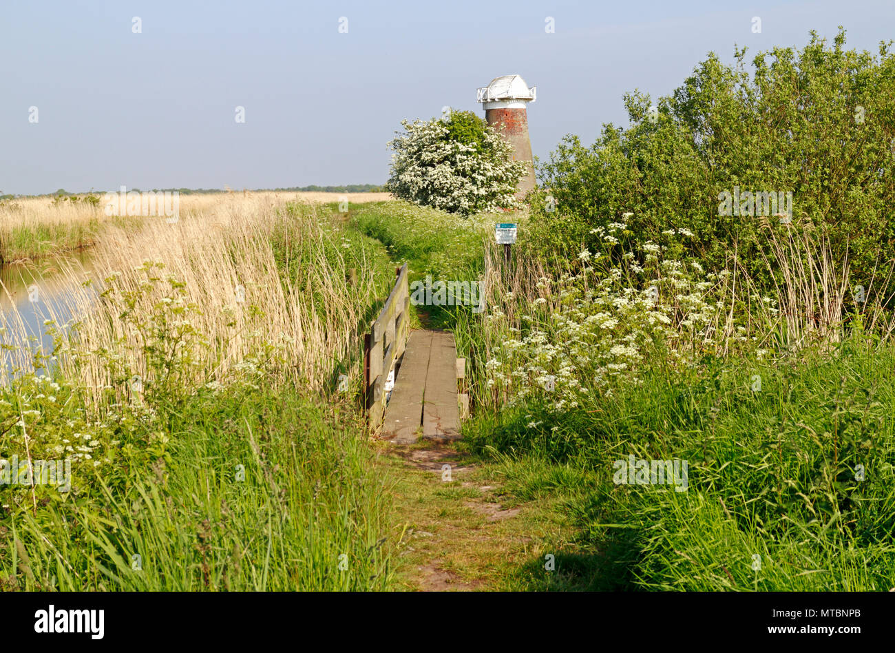 West somerton drainage mill hi-res stock photography and images - Alamy