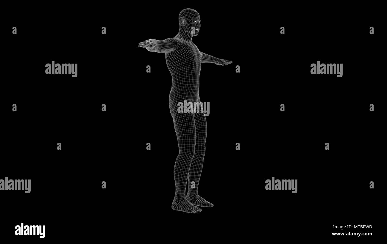 Illustration anatomy body horizontal Black and White Stock Photos ...