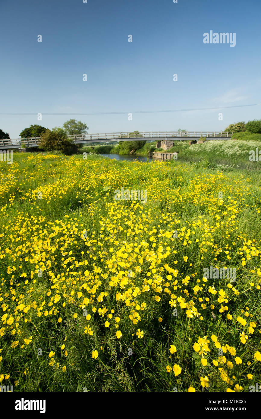 Fiddleford mill sturminster newton hi-res stock photography and images ...