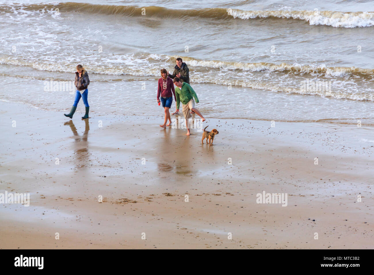 East coast shoreline in the spring hi-res stock photography and images ...