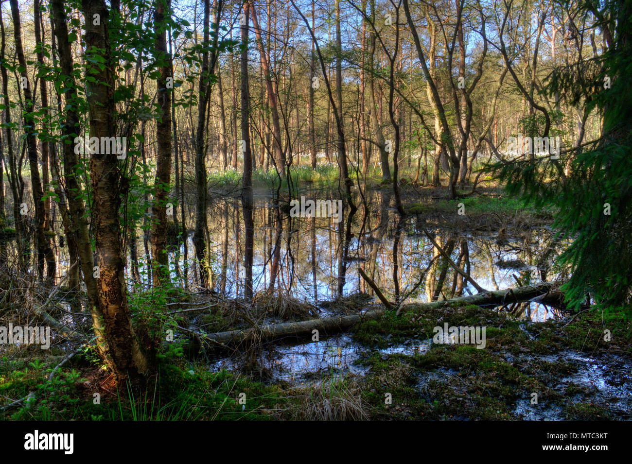 Flooding common hi-res stock photography and images - Alamy