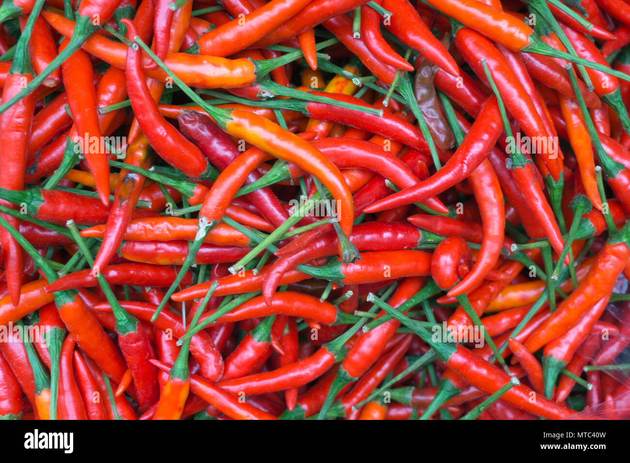 Cayenne chilli peppers hi-res stock photography and images - Alamy