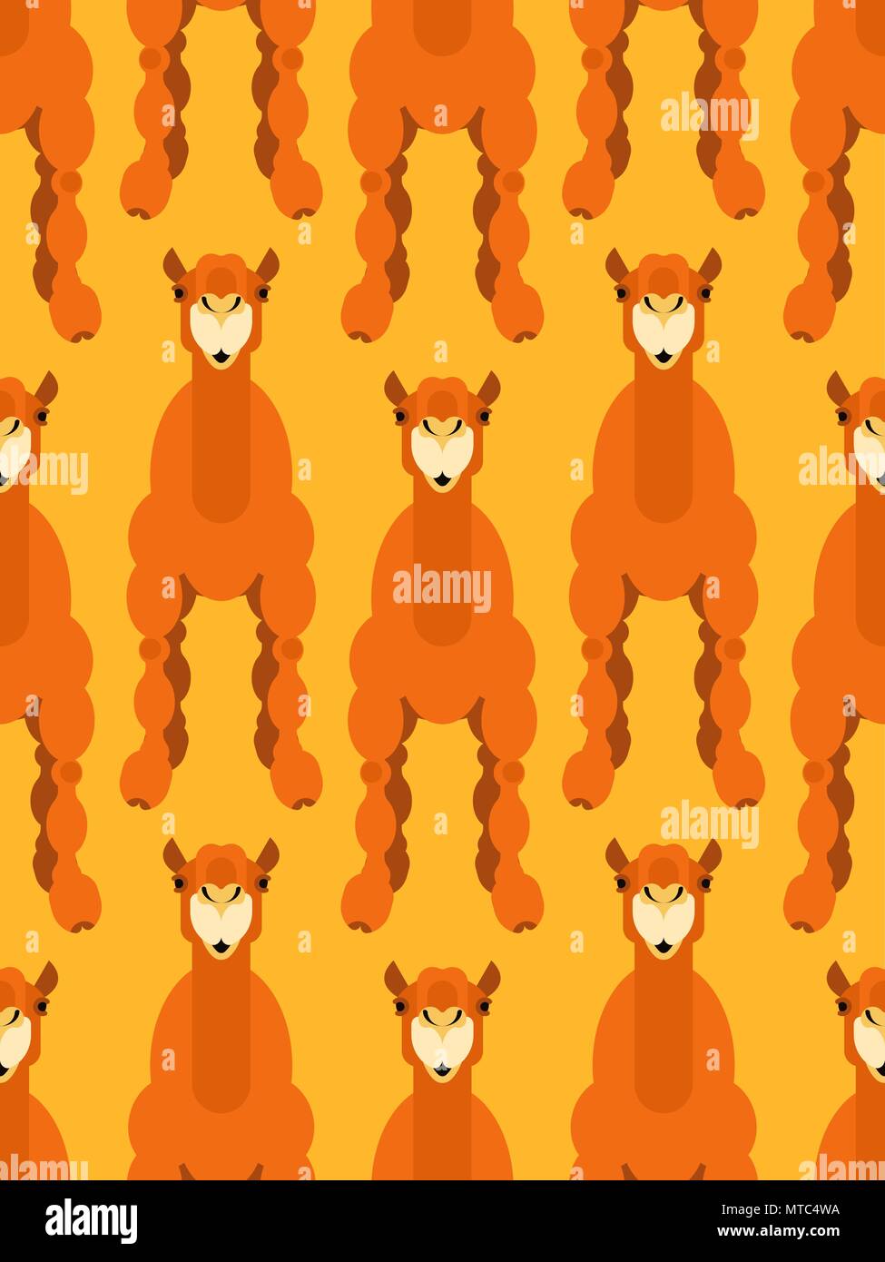 Camel pattern seamless. Animal UAE. Beast of desert background. Vector ...