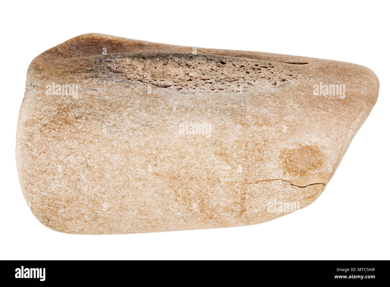 Bone archeology hi-res stock photography and images - Alamy