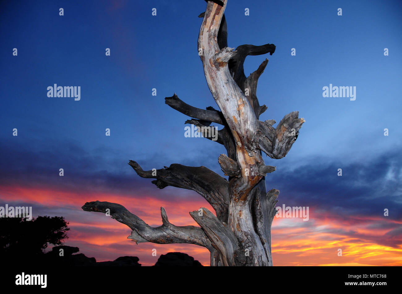 Visitors to flock to Windy Point Vista on Mount Lemmon, Tucson, Arizona ...