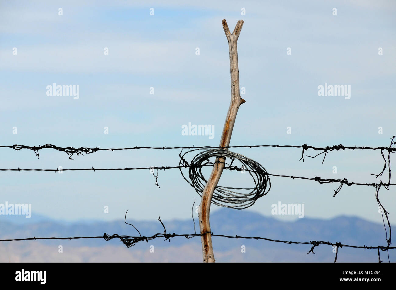 Barb wire desert hi-res stock photography and images - Alamy