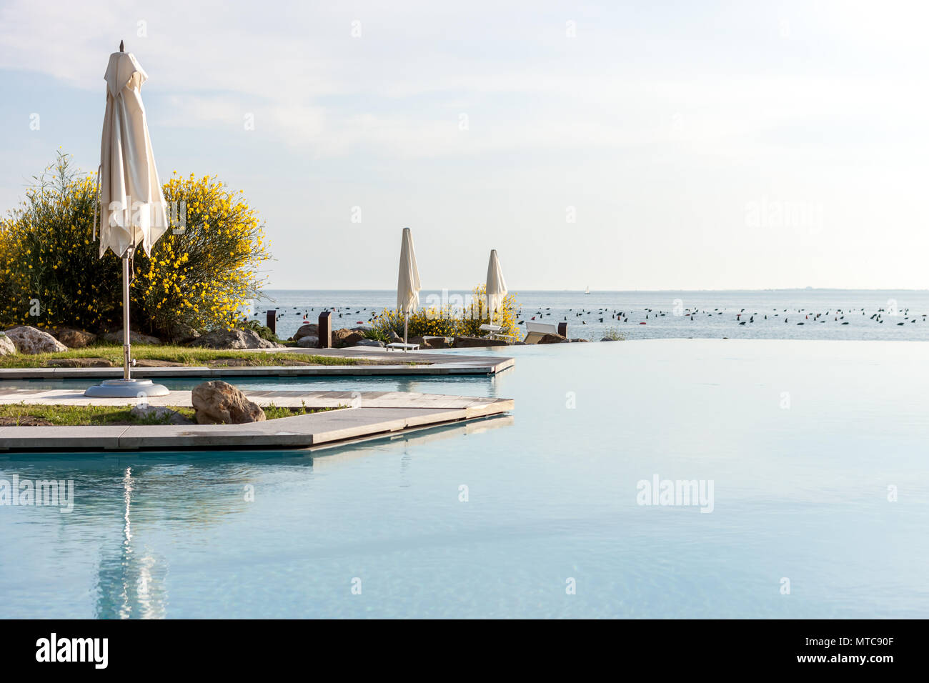 beach club pool over the sea Stock Photo - Alamy